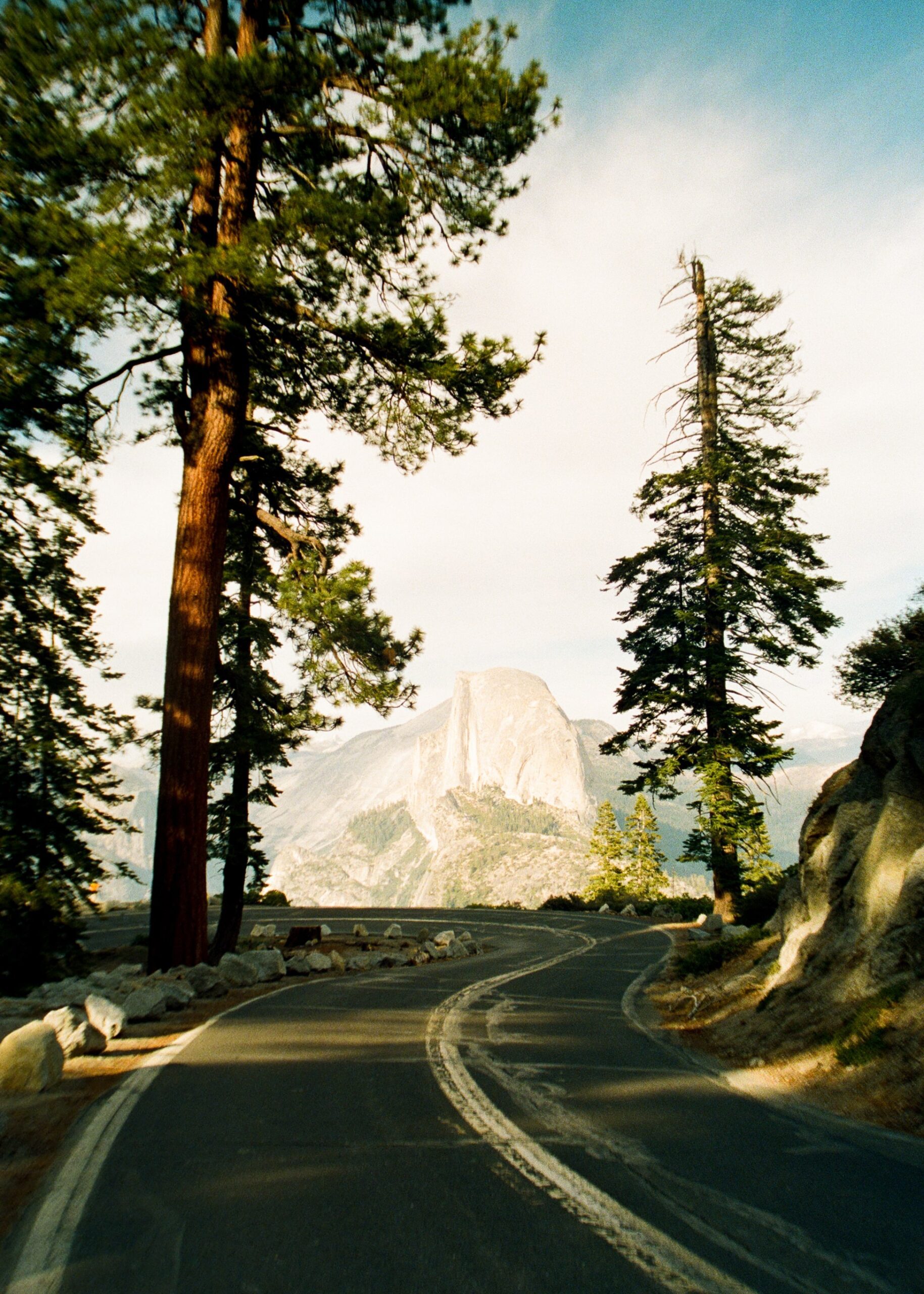 About Isabella - Isabella Griffith