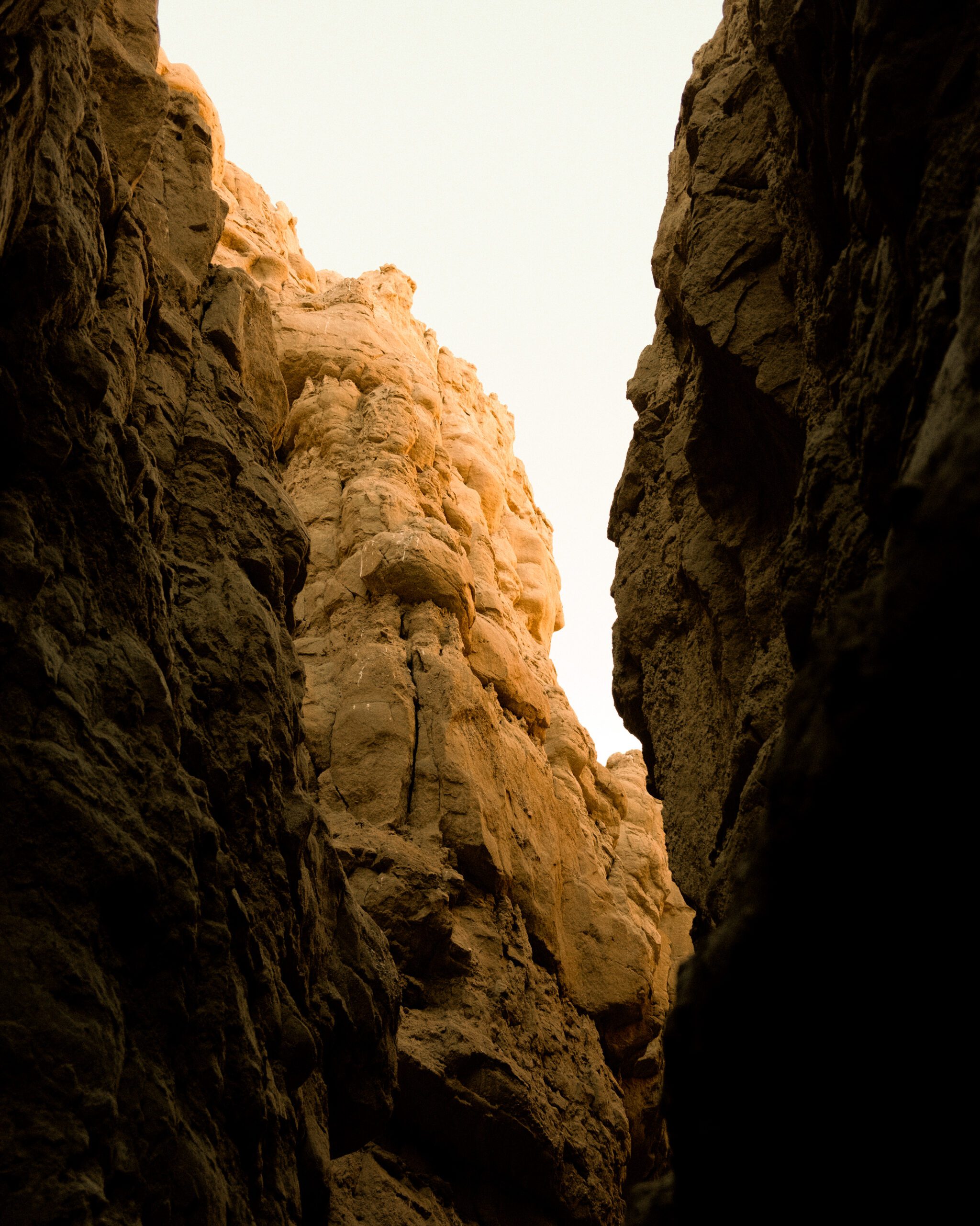 Here's how I'd plan an Anza Borrego Elopement - Isabella Griffith